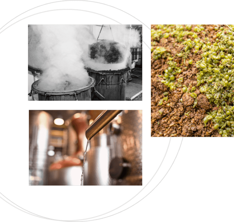 Grappa Candolini: è come appare